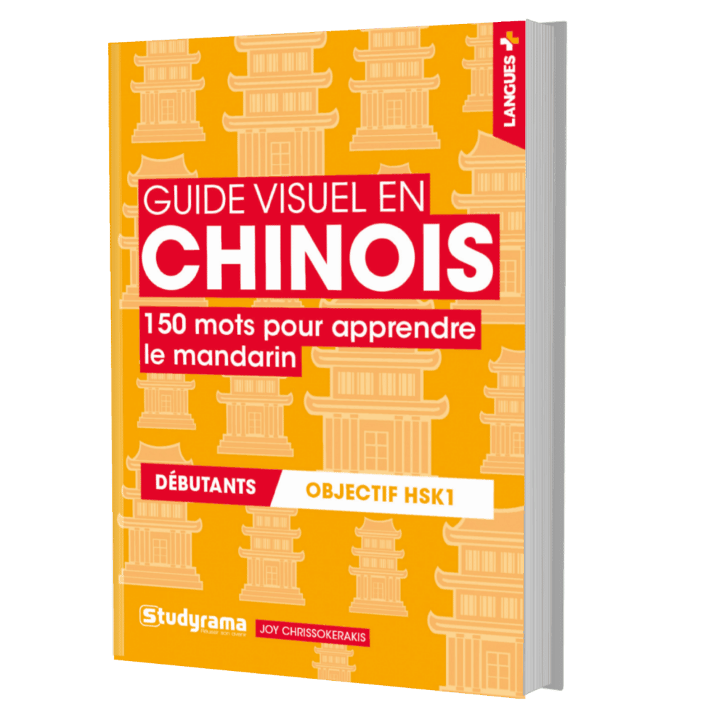 Comment Apprendre Le Chinois Facilement : Ressources Et Méthodes